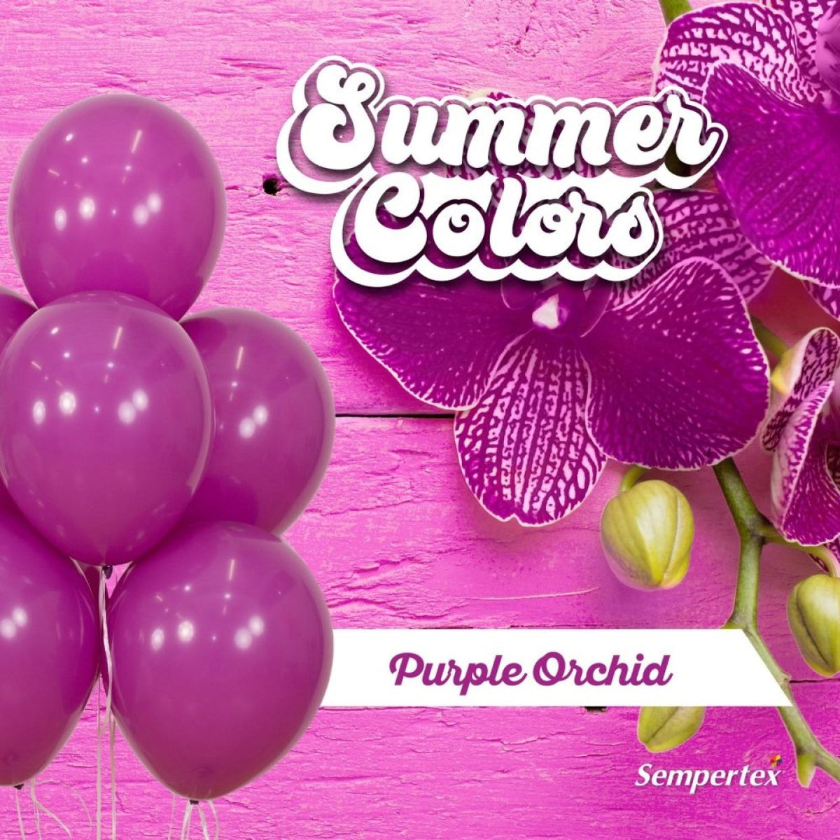 Sempertex 12cm Round Balloons Purple Orchid pack of 50. Biodegradable ...