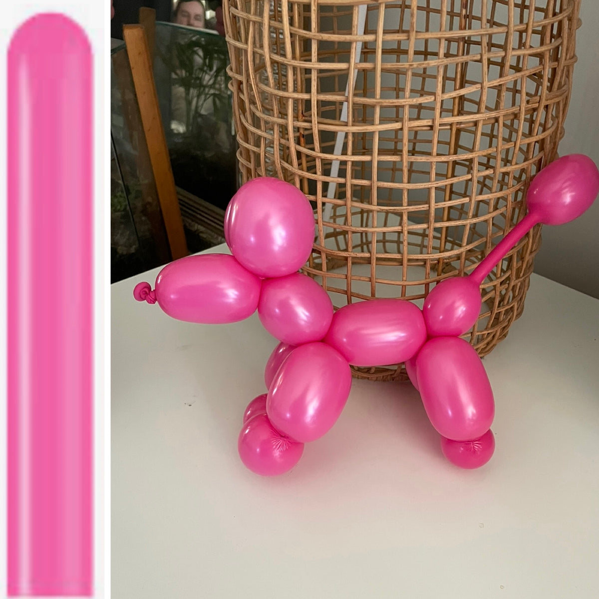 Kalisan 260 twisting balloons Fuchsia pink- Pack of 100 – The Face ...