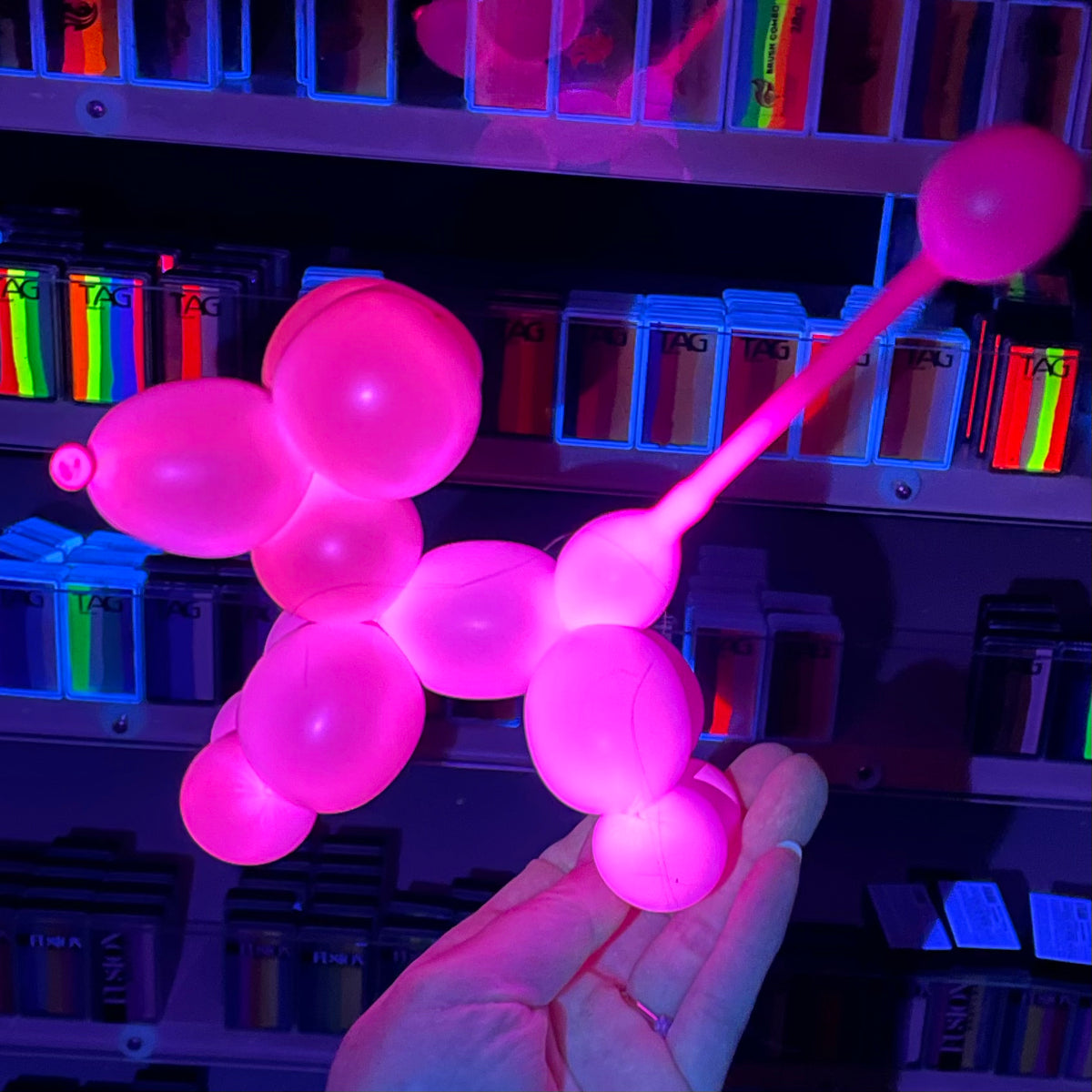 DTX (Sempertex) 260 Modelling Balloon Neon Fuchsia pack of 50 - Bright ...